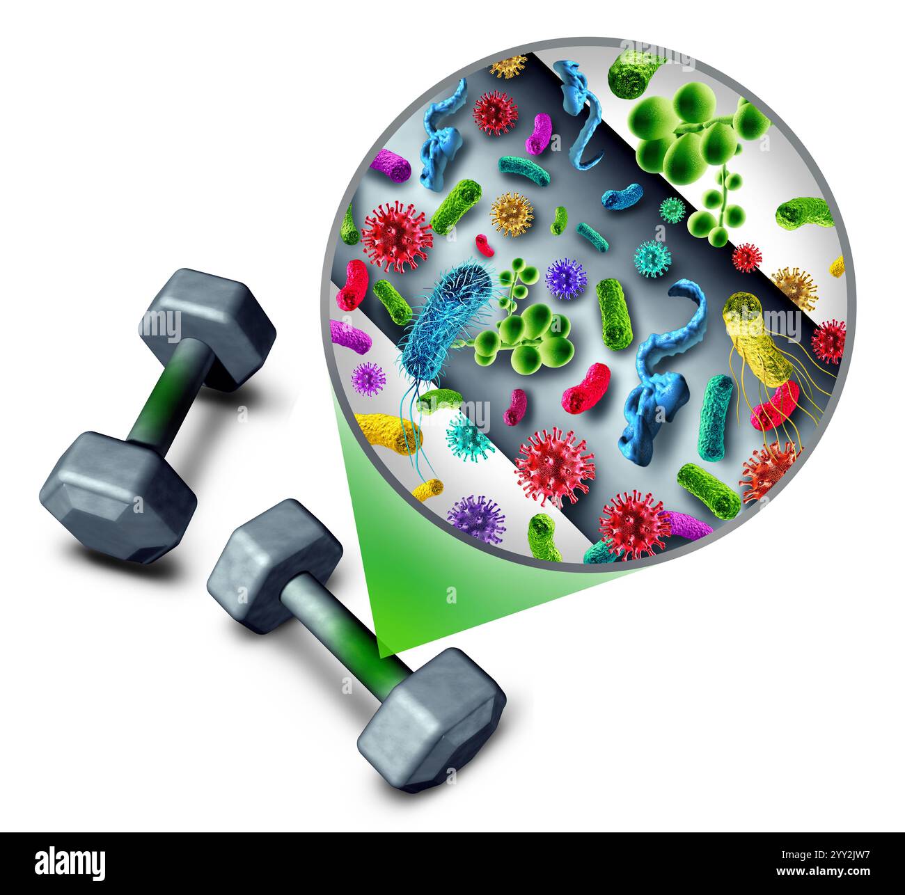 Germs and Public Health and the risk of illness as pathogens as ...