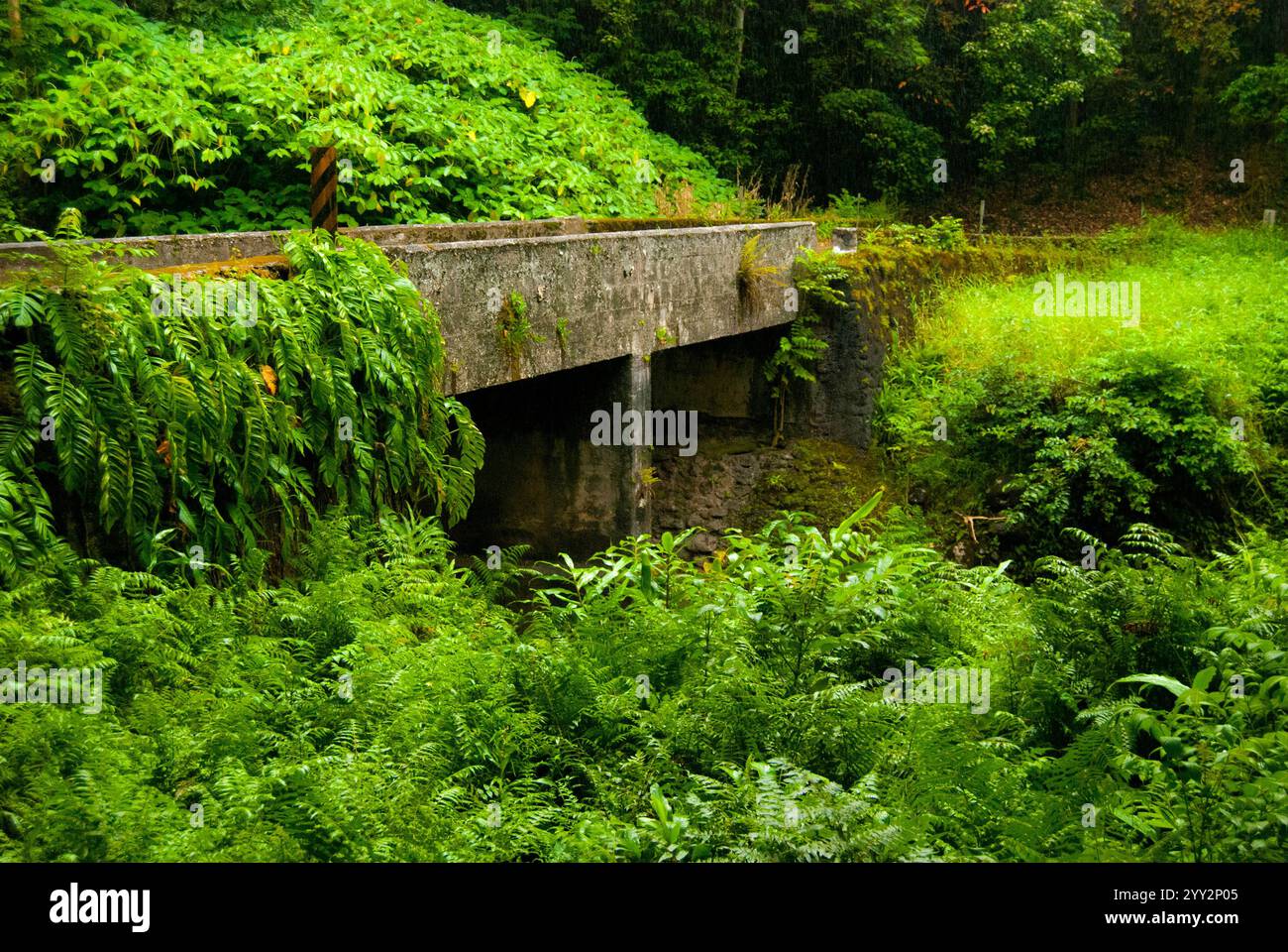 Famous road hana in hi-res stock photography and images - Alamy