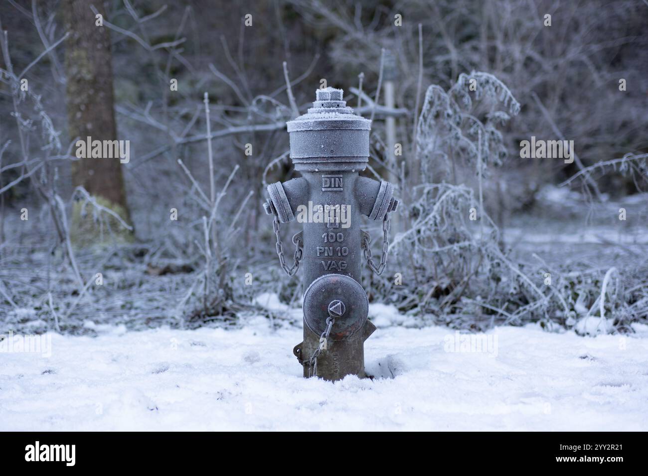 Germany, Schonau - 01.12.2024: Fire hydrant covered with frost. A ...