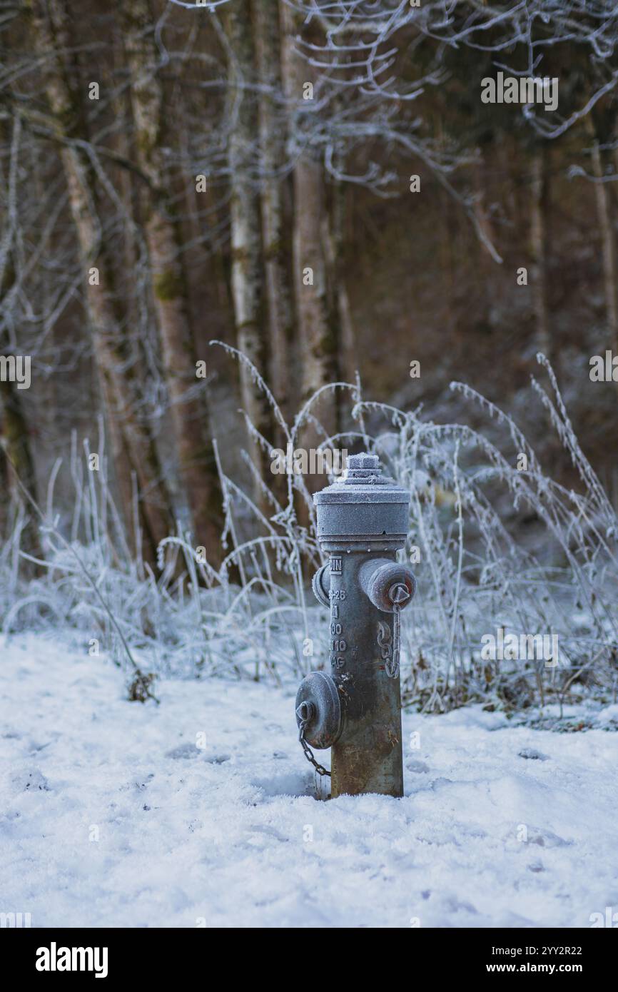 Germany, Schonau - 01.12.2024: Fire hydrant covered with frost. A ...