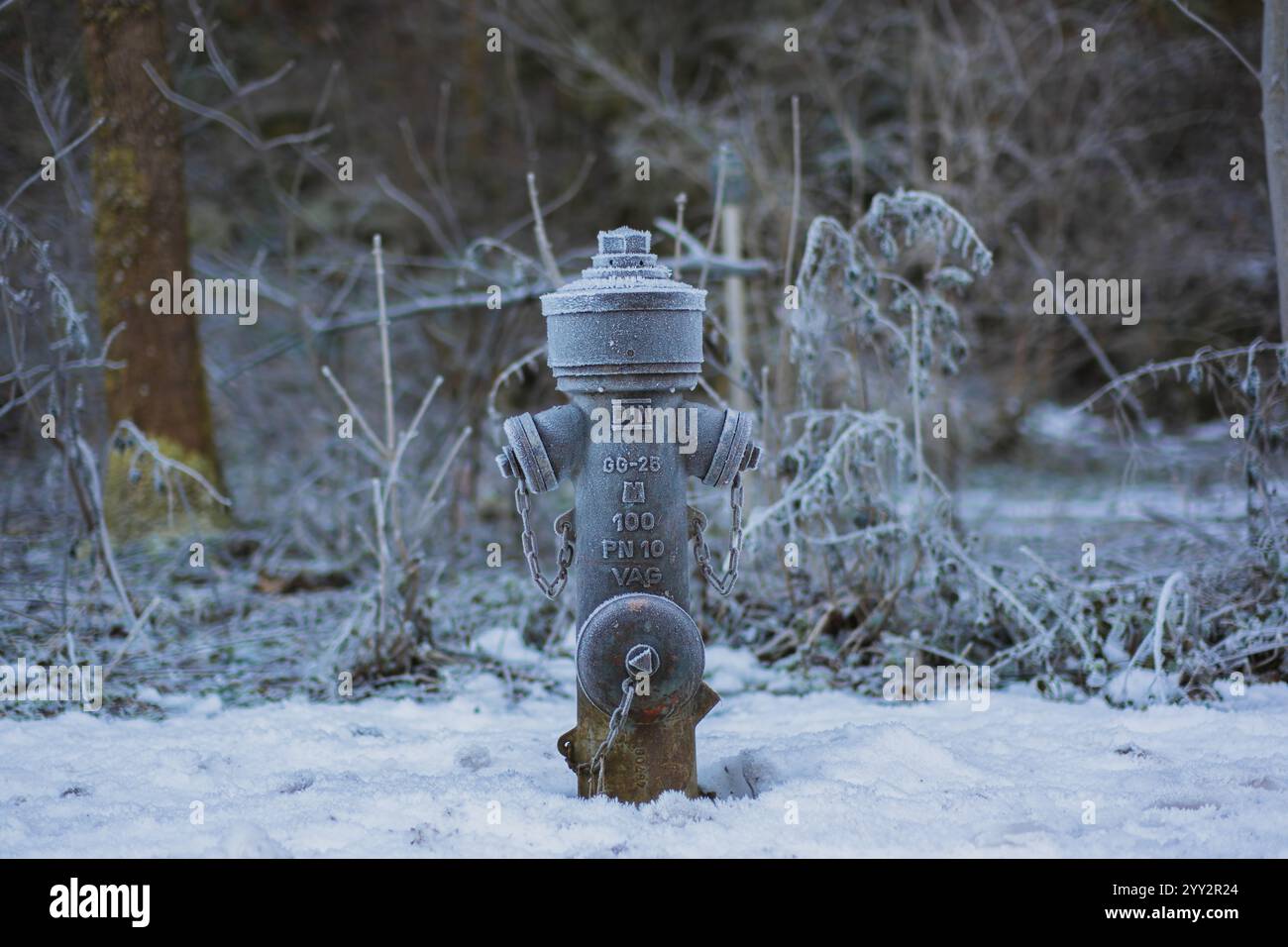 Germany, Schonau - 01.12.2024: Fire hydrant covered with frost. A ...