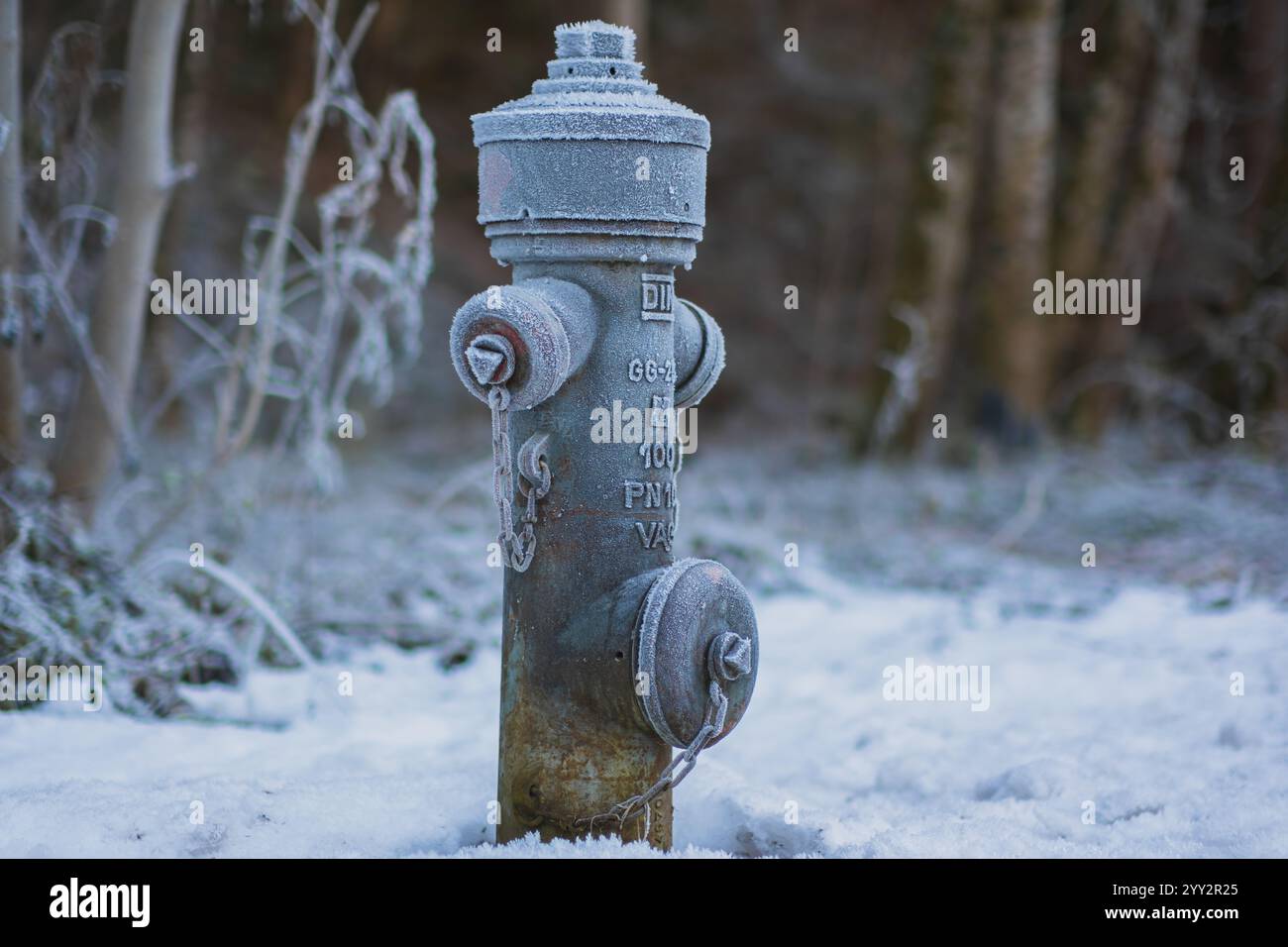 Germany, Schonau - 01.12.2024: Fire hydrant covered with frost. A ...