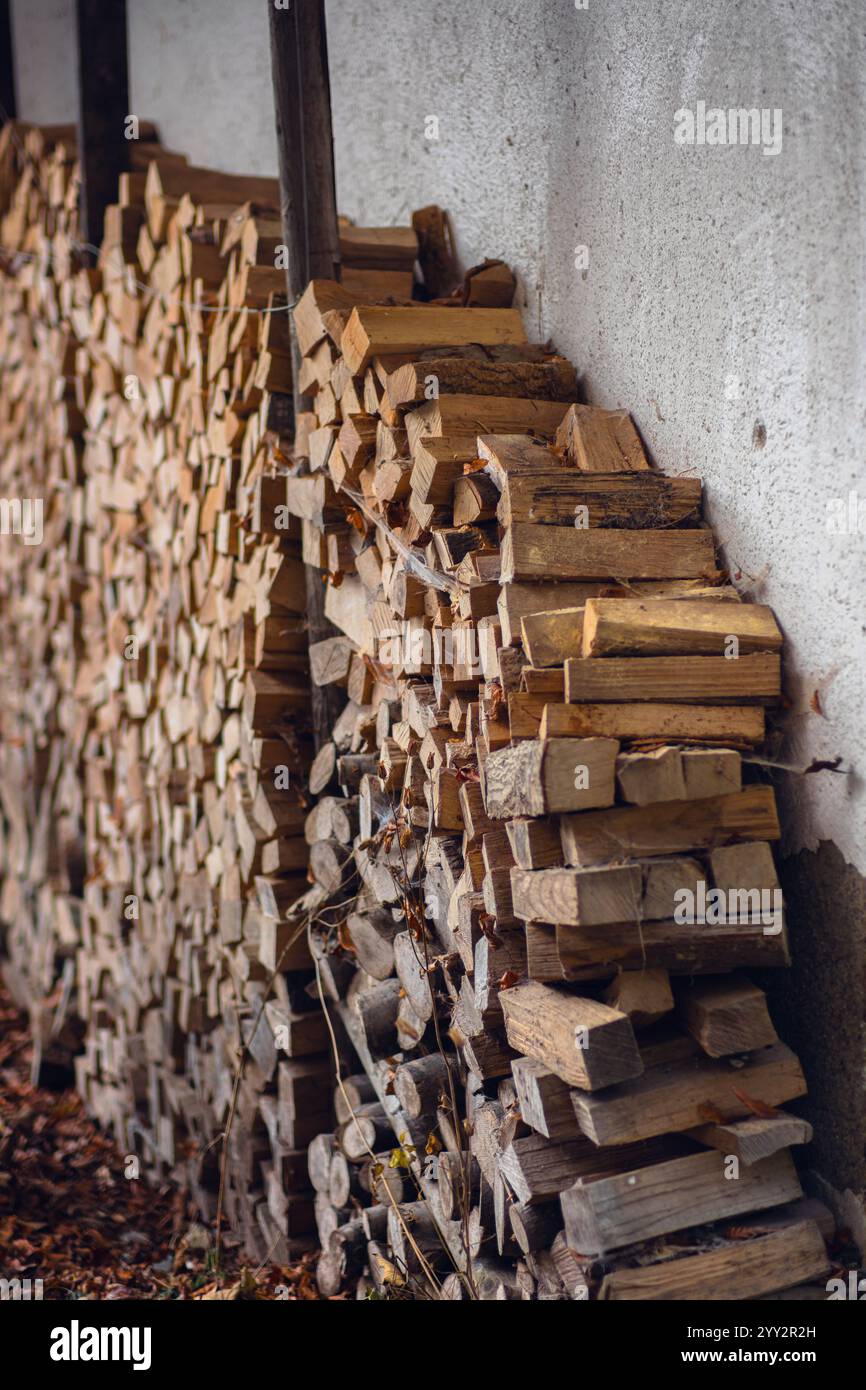 Firewood stacked against the wall of a building. A pile of firewood ...