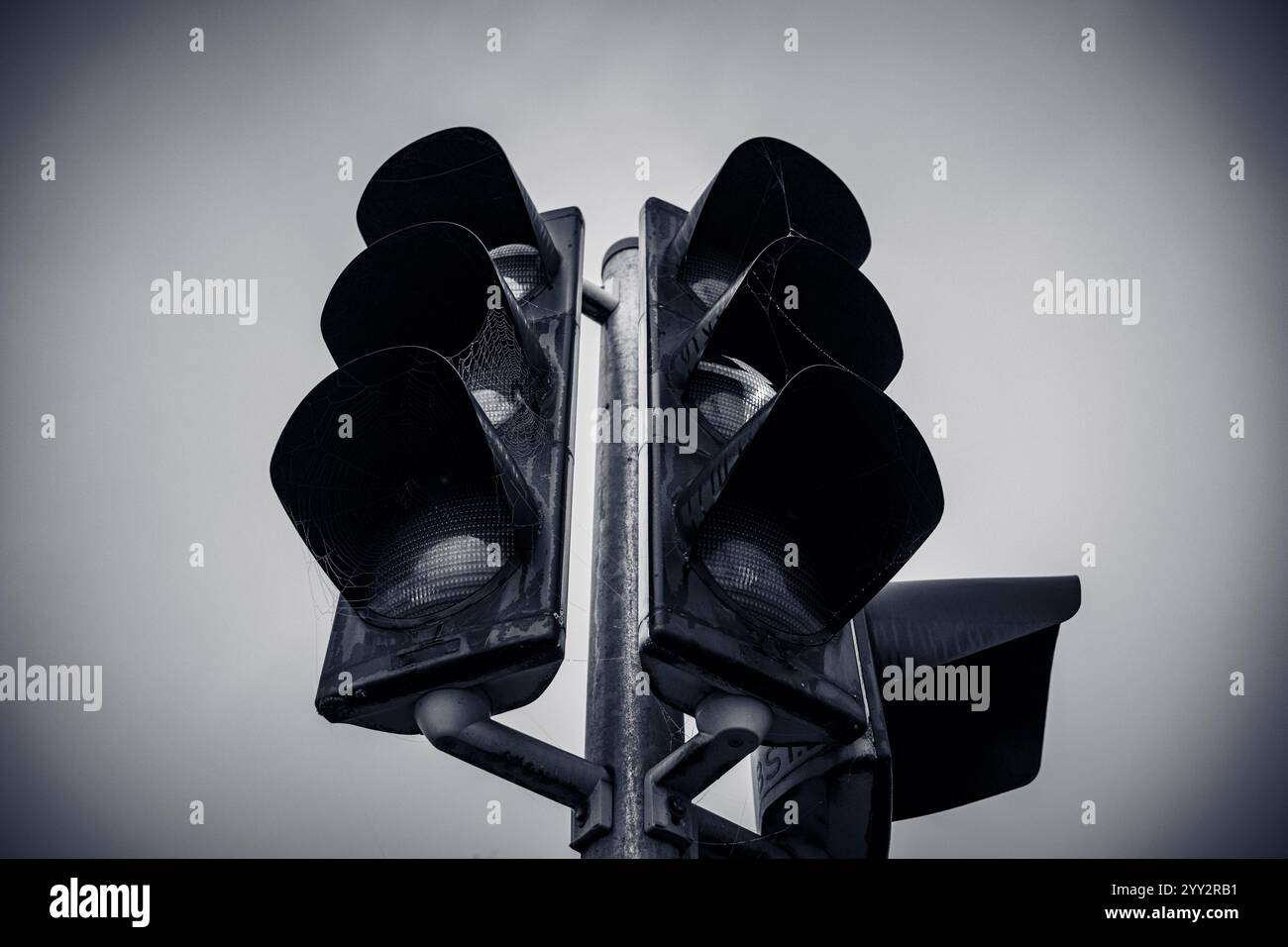 Beautiful Web in dew drops on a traffic light. Photo of a Spider Web in ...