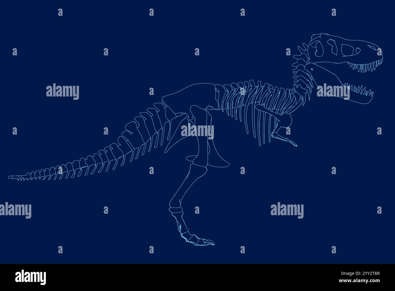 Tyrannosaurus rex or t rex dinosaur outline isolated on blue. Contour style vector illustration ...