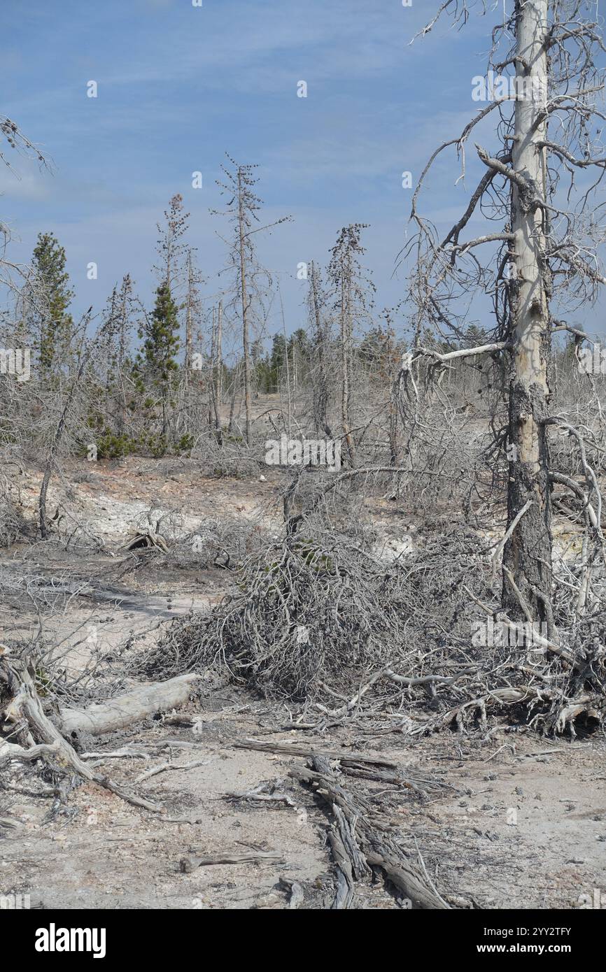 Late fall / early winter provides a window of opportunity to enjoy the ...