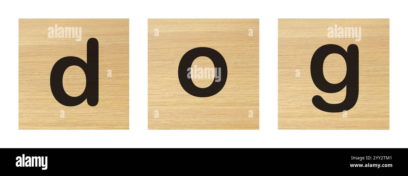 dog word with wood blocks Stock Photo - Alamy