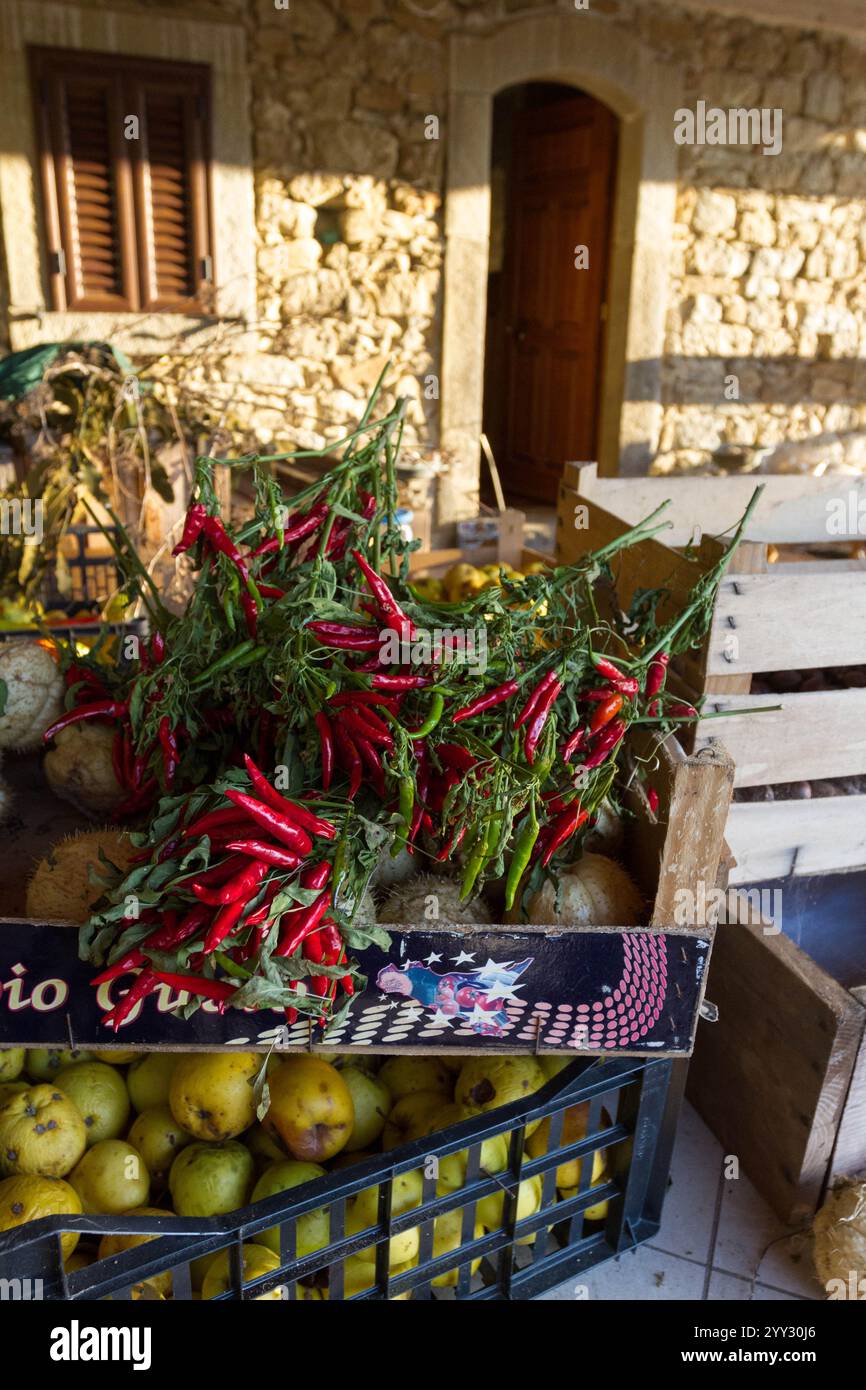 Italian Produce of the Countryside Stock Photo - Alamy