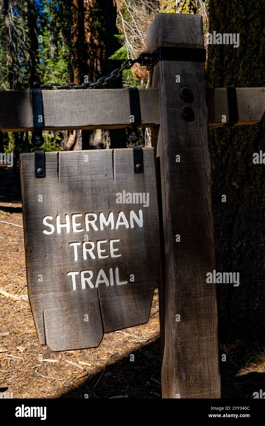 Sequoia National Park, USA. 14th Aug, 2024. General Sherman tree is the ...