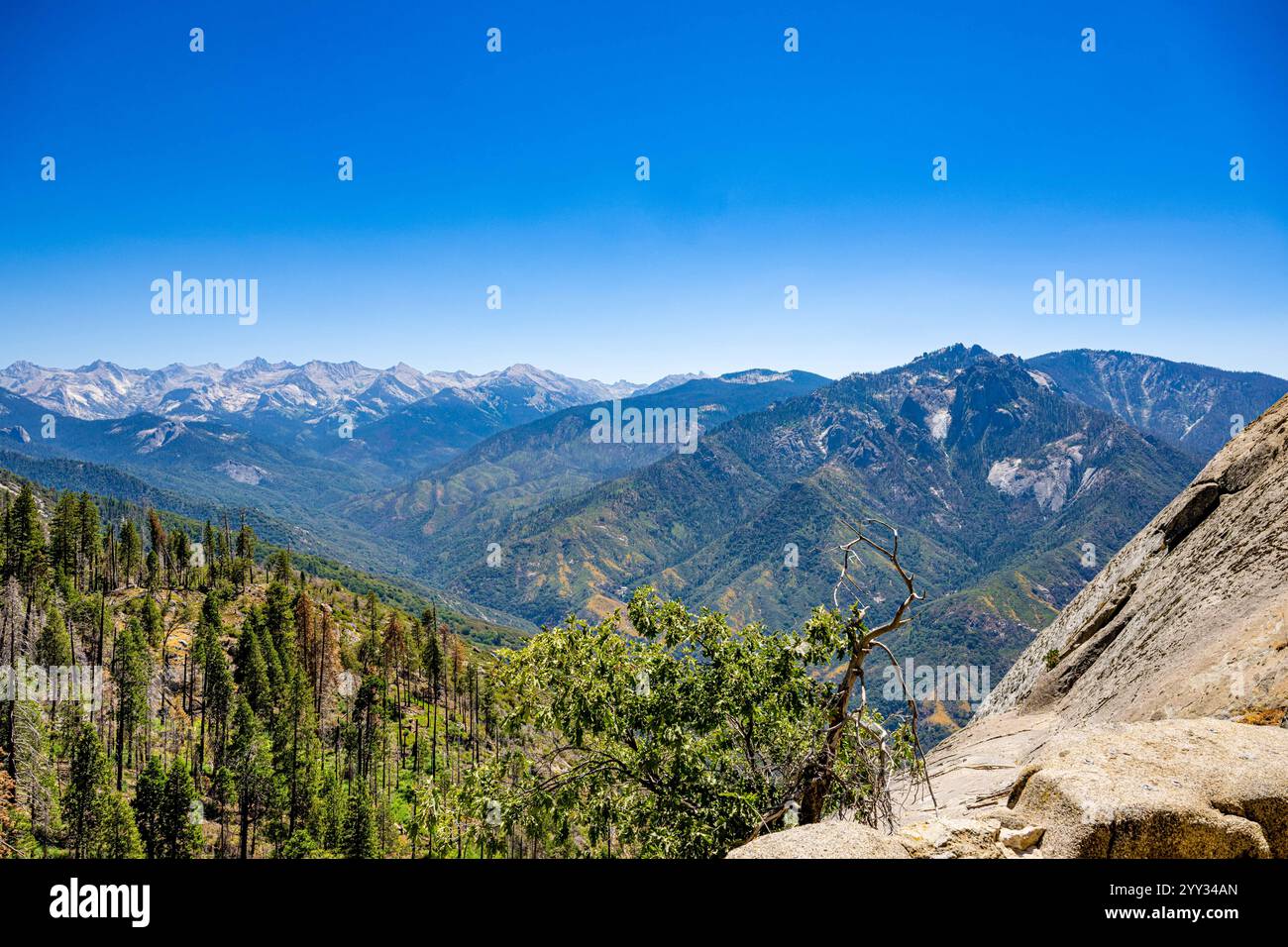 Sequoia National Park, USA. 13th Aug, 2024. Views from Moro Rock at ...