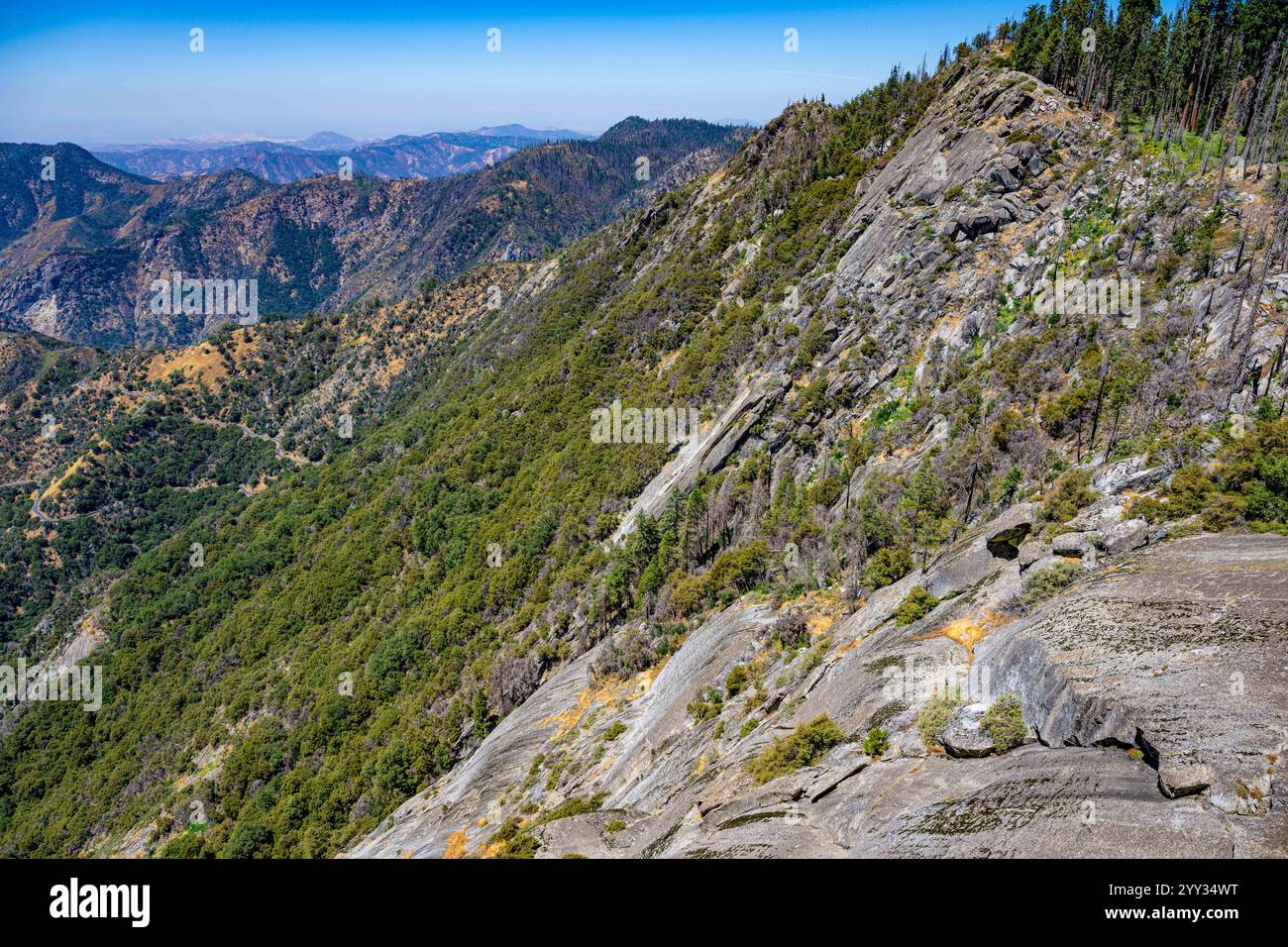 Sequoia National Park, USA. 13th Aug, 2024. Views from the road at ...