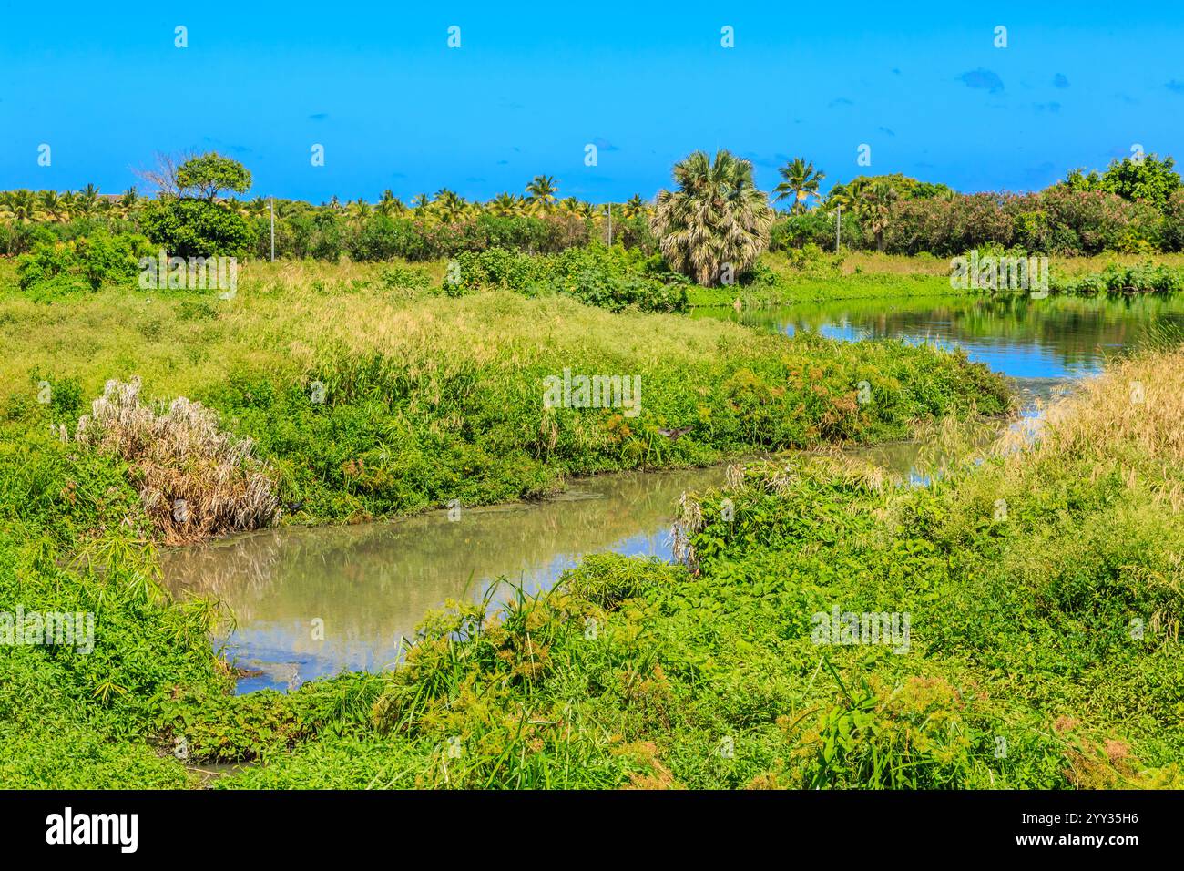 River running through field grass hi-res stock photography and images ...