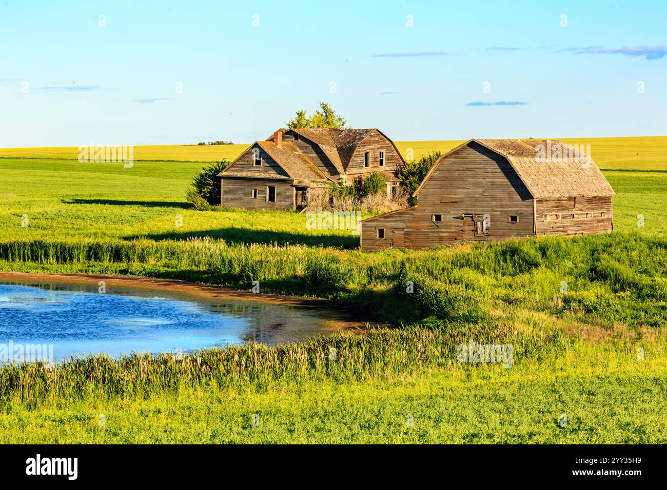 A peaceful countryside scene with a small pond and three old, abandoned ...