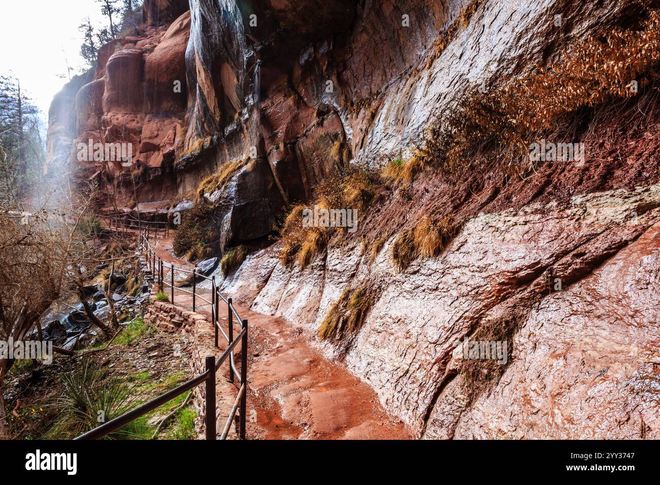 A rocky cliff with a dirt path leading up to it. The path is covered in ...