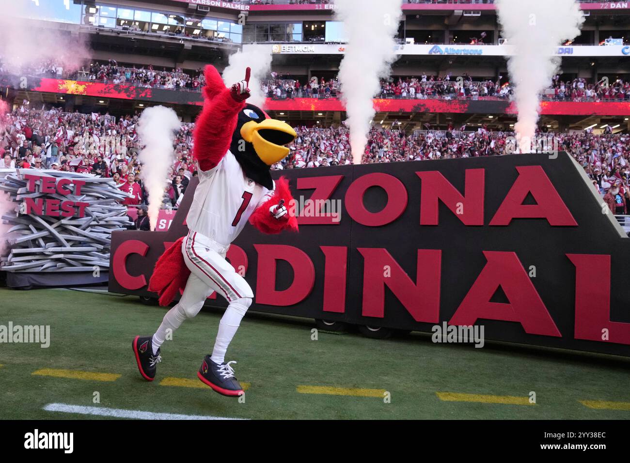 Arizona Cardinals mascot "Big Red" against the New England Patriots ...