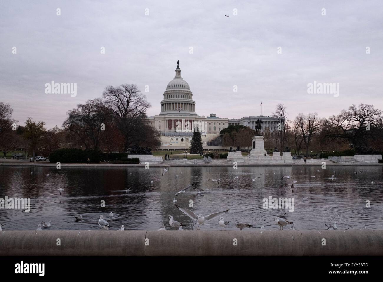 Birds are seen in the Capitol Reflecting Pool in front of the US ...