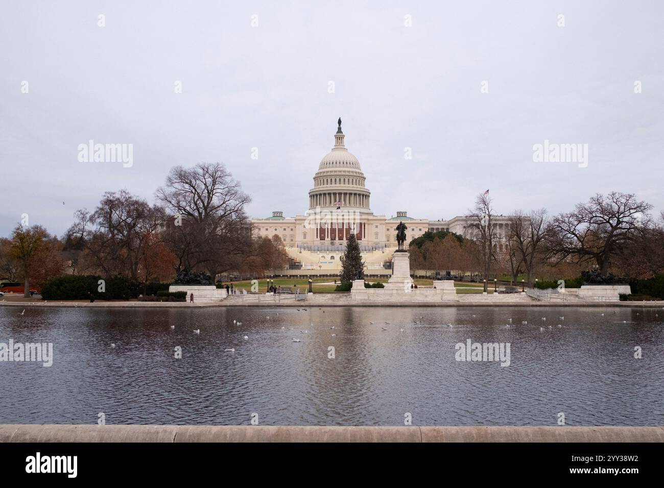 Birds are seen in the Capitol Reflecting Pool in front of the US ...