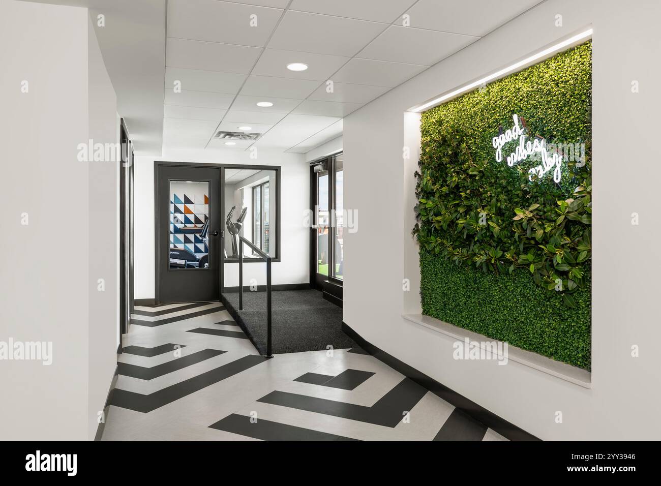 An apartment building hallway with a "green wall" and entrances to ...