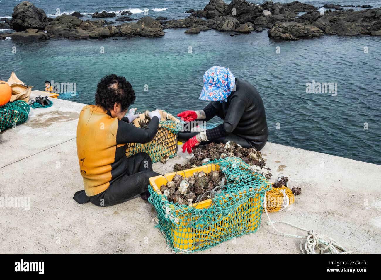Haenyeo women divers with their fresh conch shell catch, Gapado Island ...