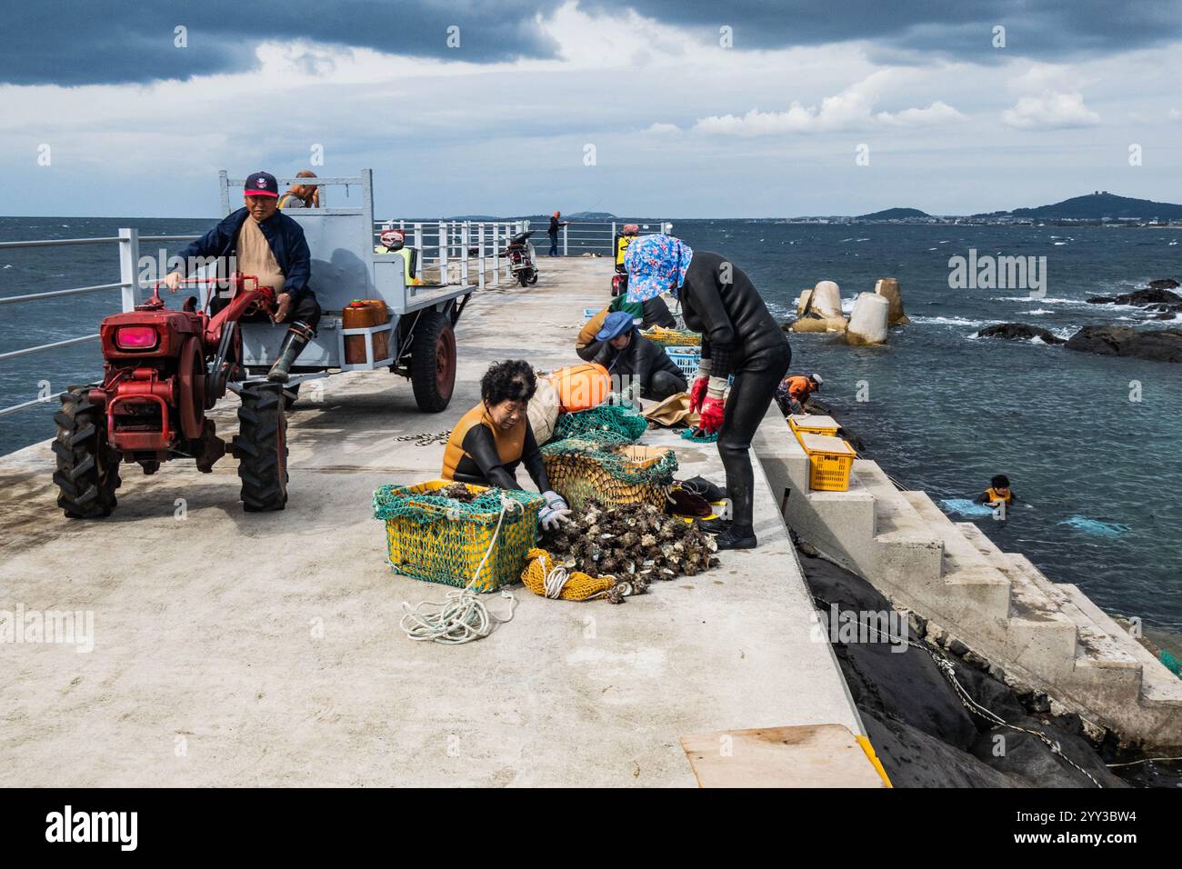 Haenyeo women divers with their fresh conch shell catch, Gapado Island ...