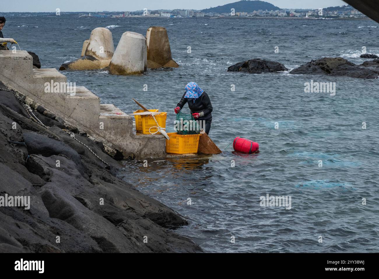 Haenyeo women divers with their fresh conch shell catch, Gapado Island ...