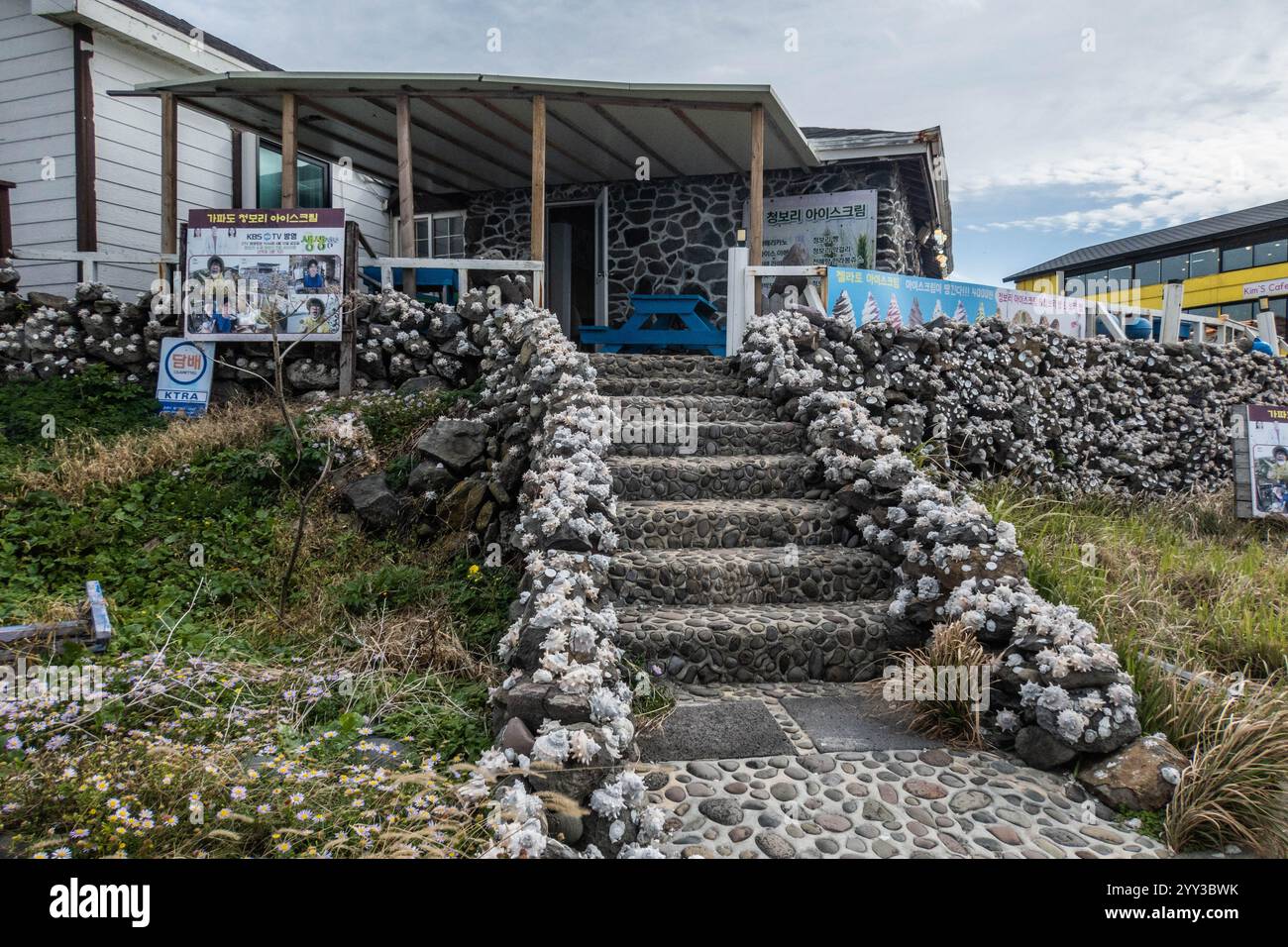 Shell covered house on Gapado Island, Jeju, South Korea Stock Photo - Alamy