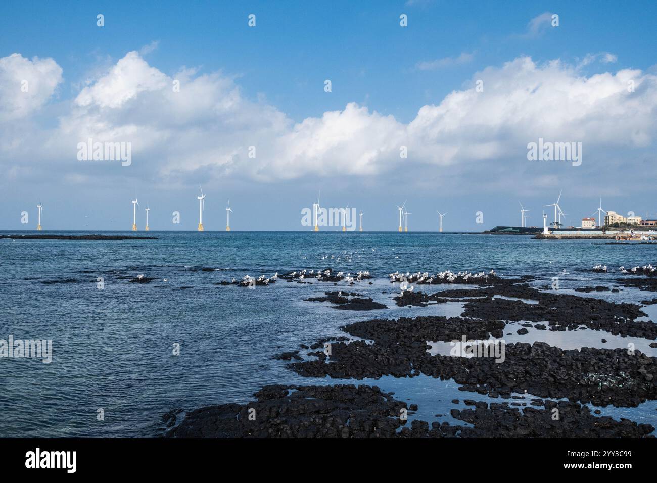 Windmills along the Jeju Olle Trail, Jeju Island, South Korea Stock ...