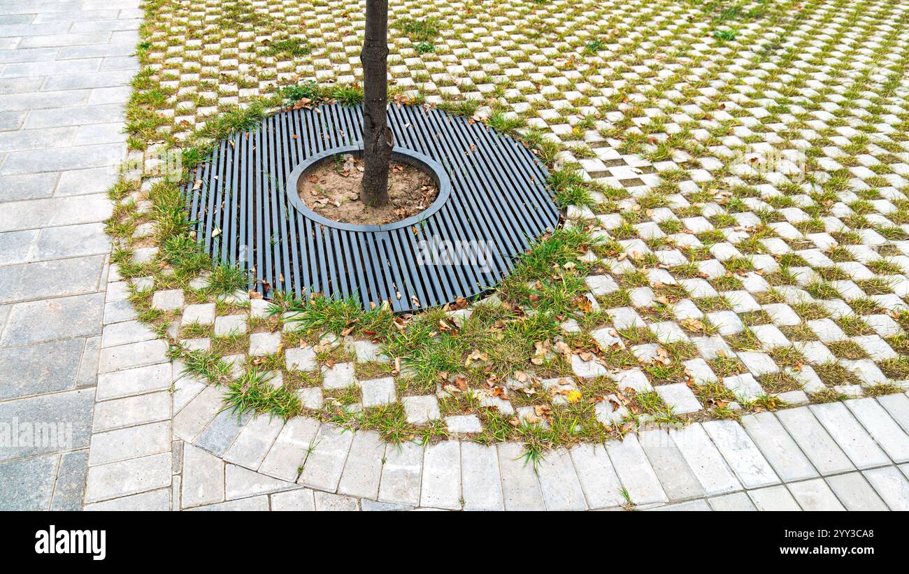Circular paving stones hi-res stock photography and images - Alamy