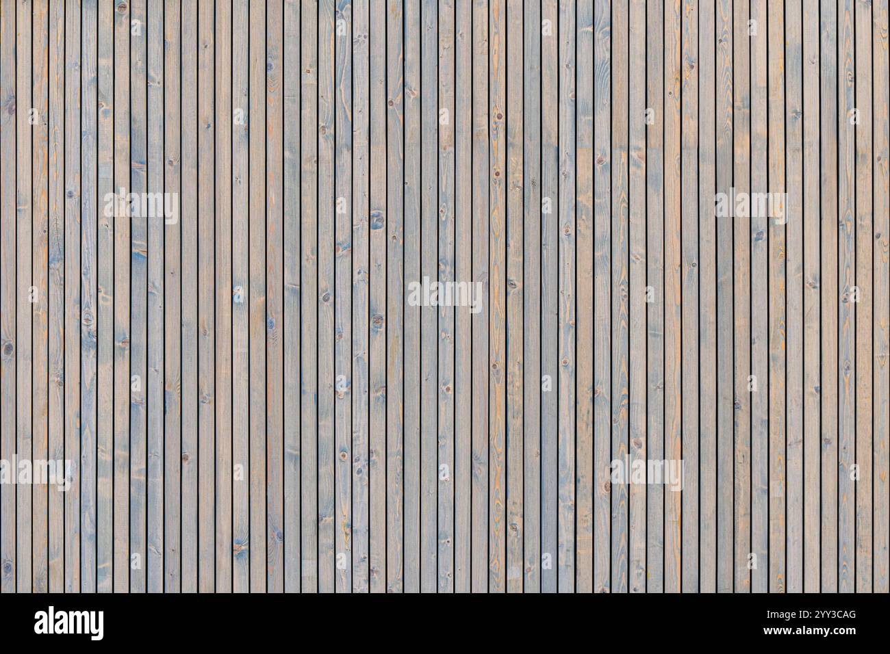 Stylish contemporary wainscoting made of thin gray-toned pine timber ...