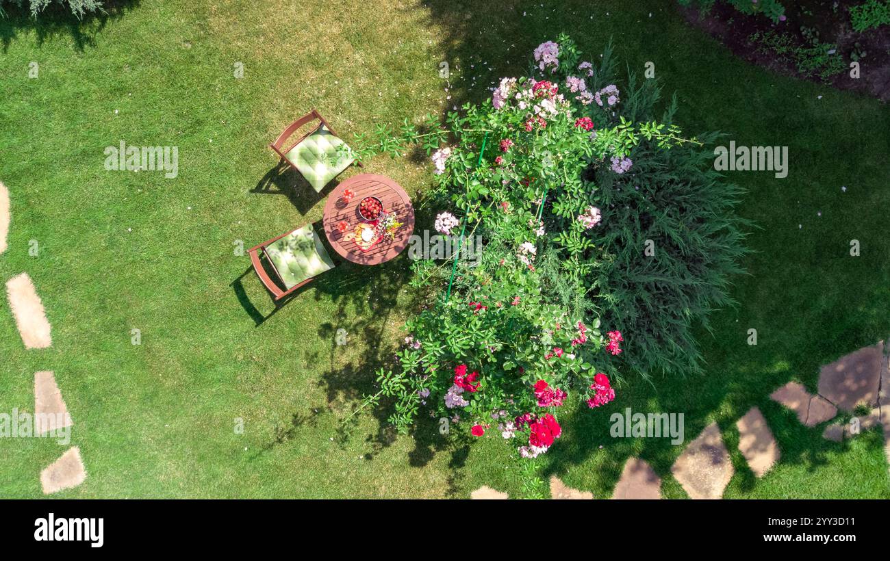 Decorated table with cheeses, strawberry and wine in beautiful rose ...