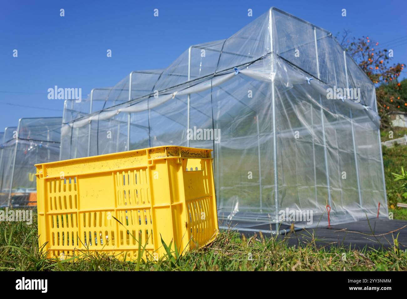 Container harvest hi-res stock photography and images - Alamy