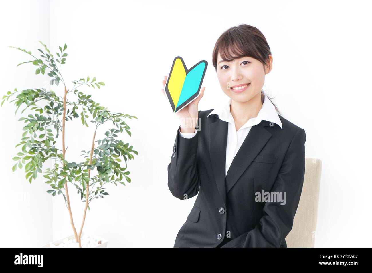 Business people plan new employees hi-res stock photography and images ...