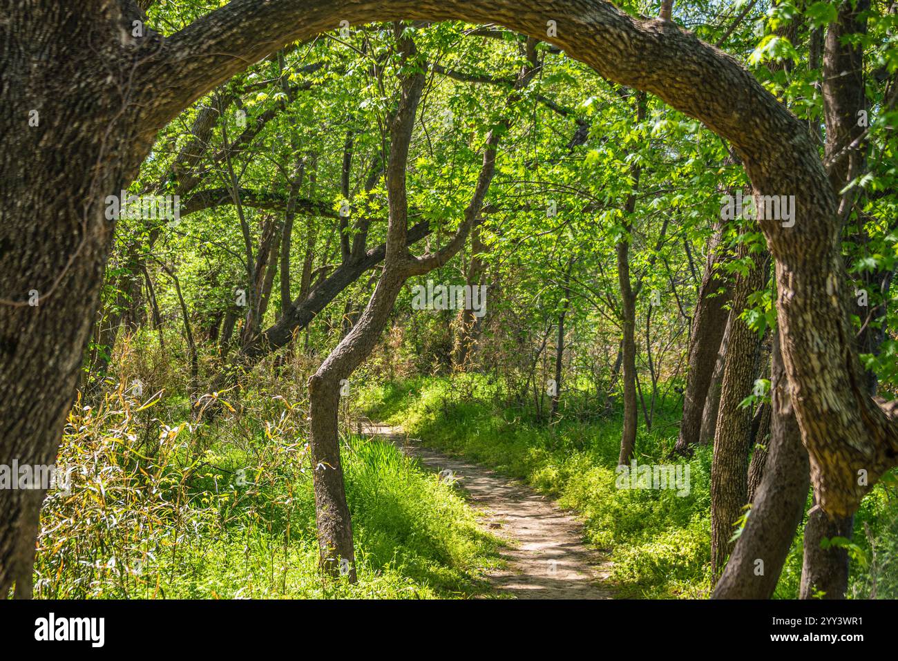 Jean-Pierre Choteau Nature Trail along the Neosho (Grand) River at ...