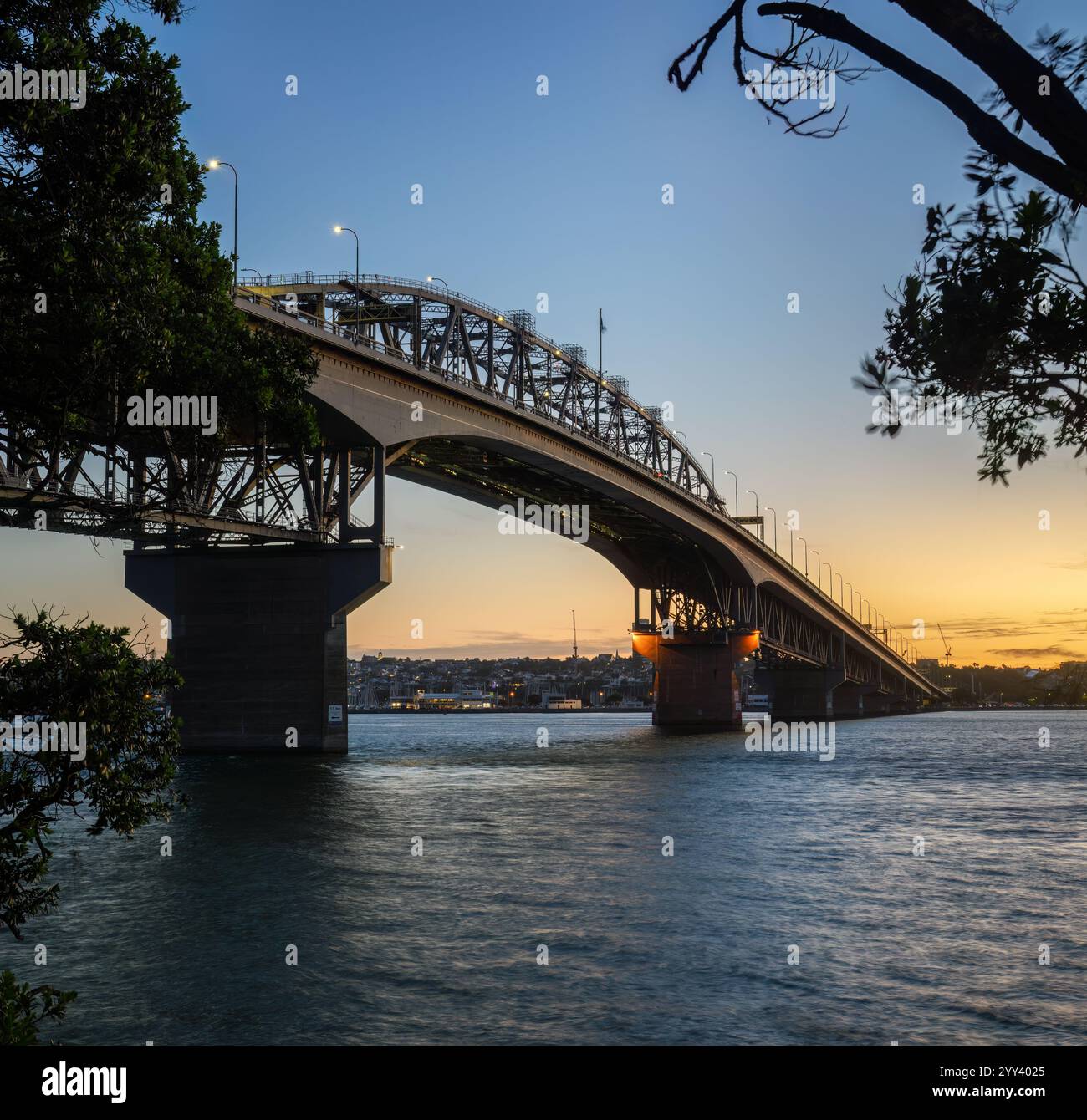 Auckland Harbour Bridge framed by Pohutukawa trees at sunset Stock ...
