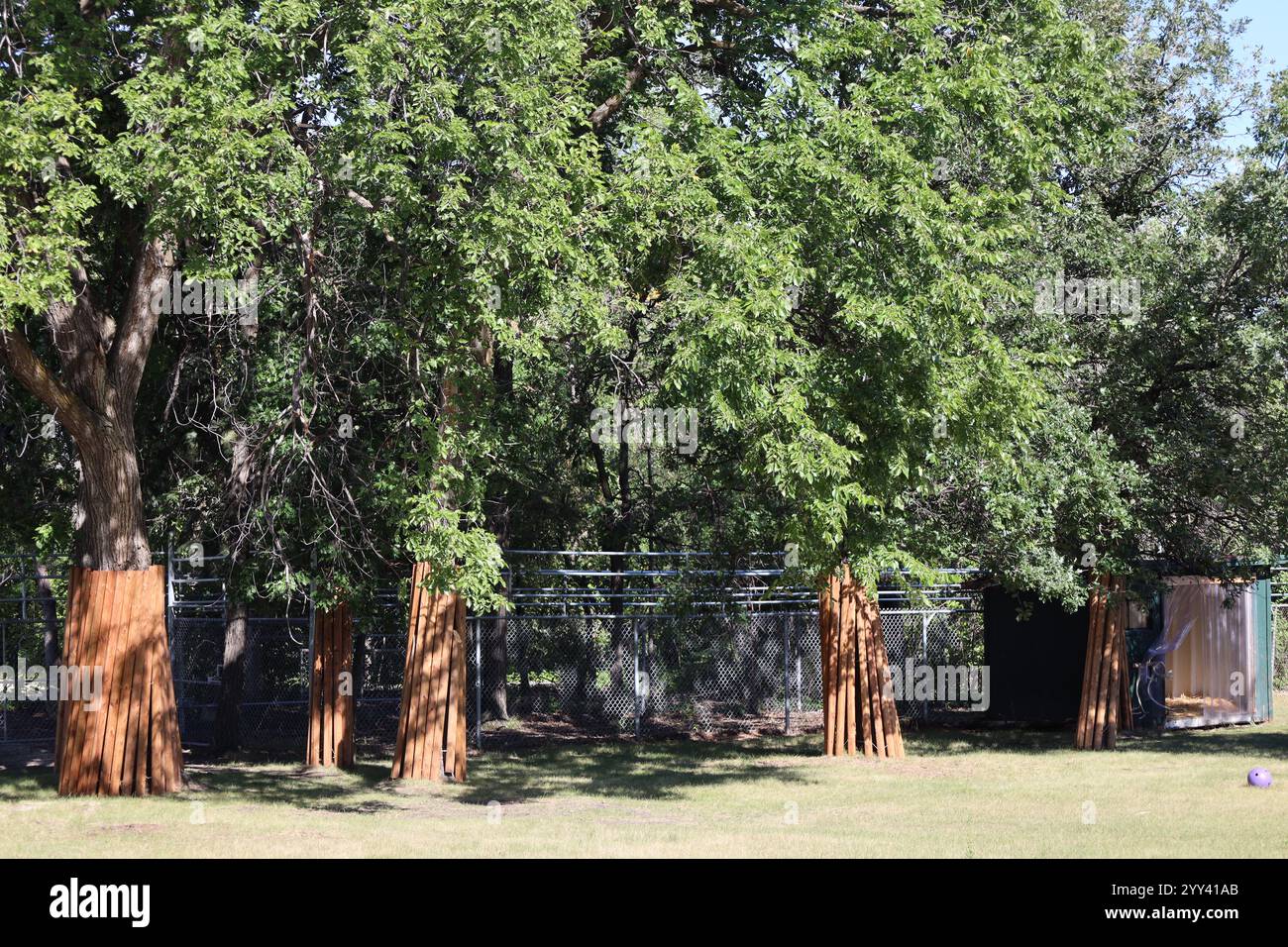 Timber tree guards hi-res stock photography and images - Alamy