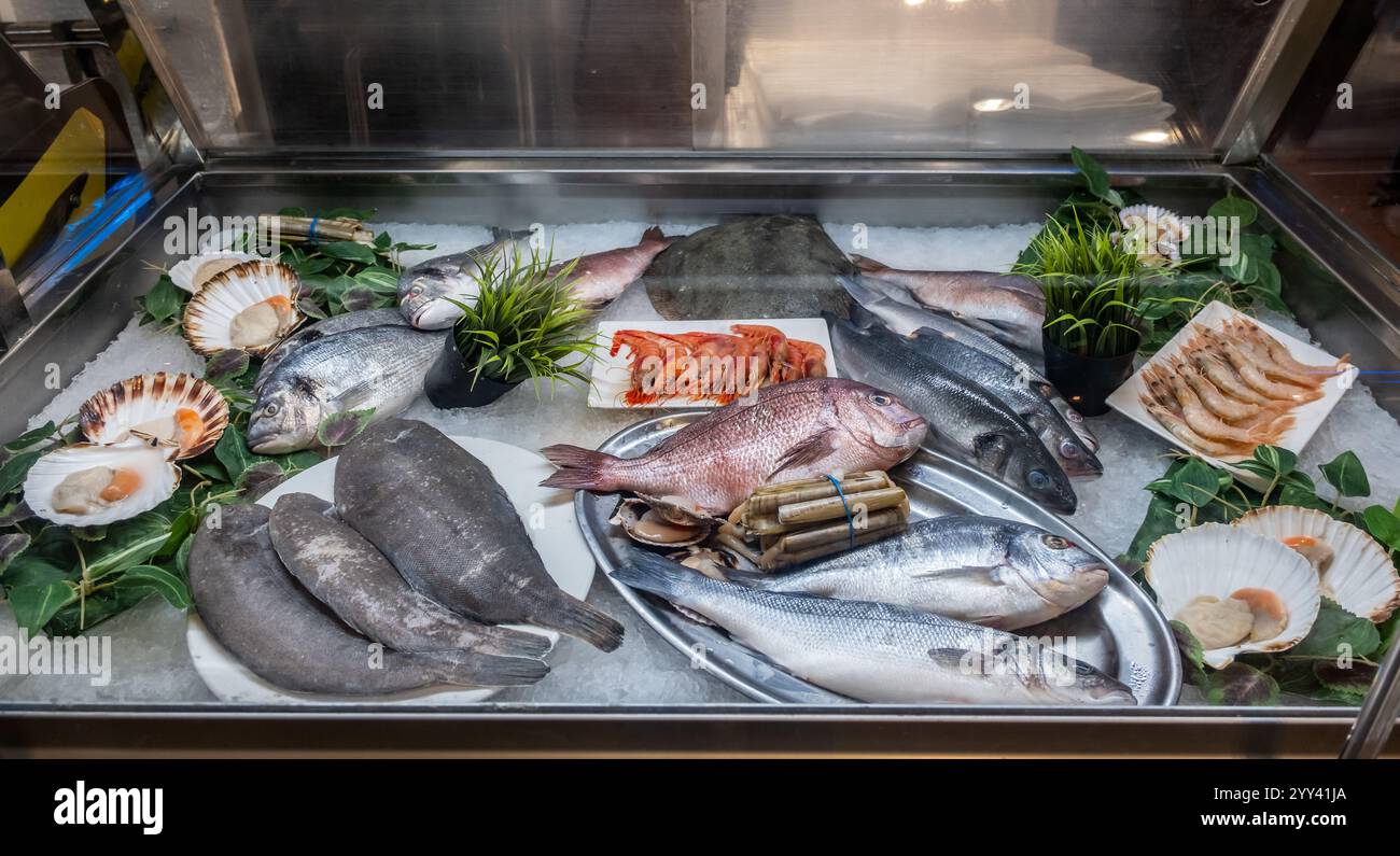 Seafood on ice at the fish market. Fish, shellfish, shrimp, squid, crab ...