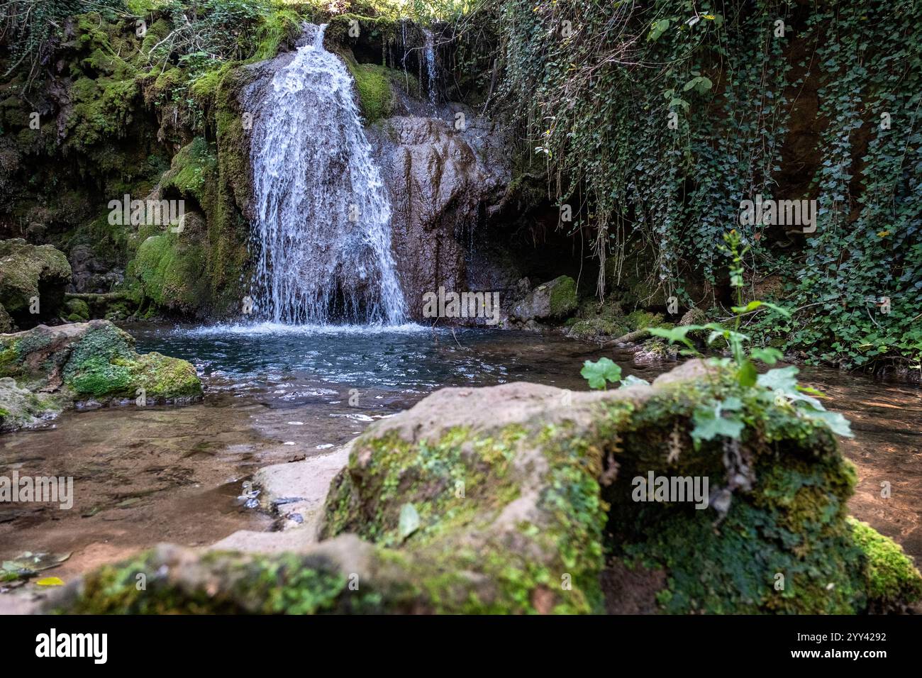Waterfall Ripaljka in nature on mountain Ozren near Sokobanja, Serbia ...