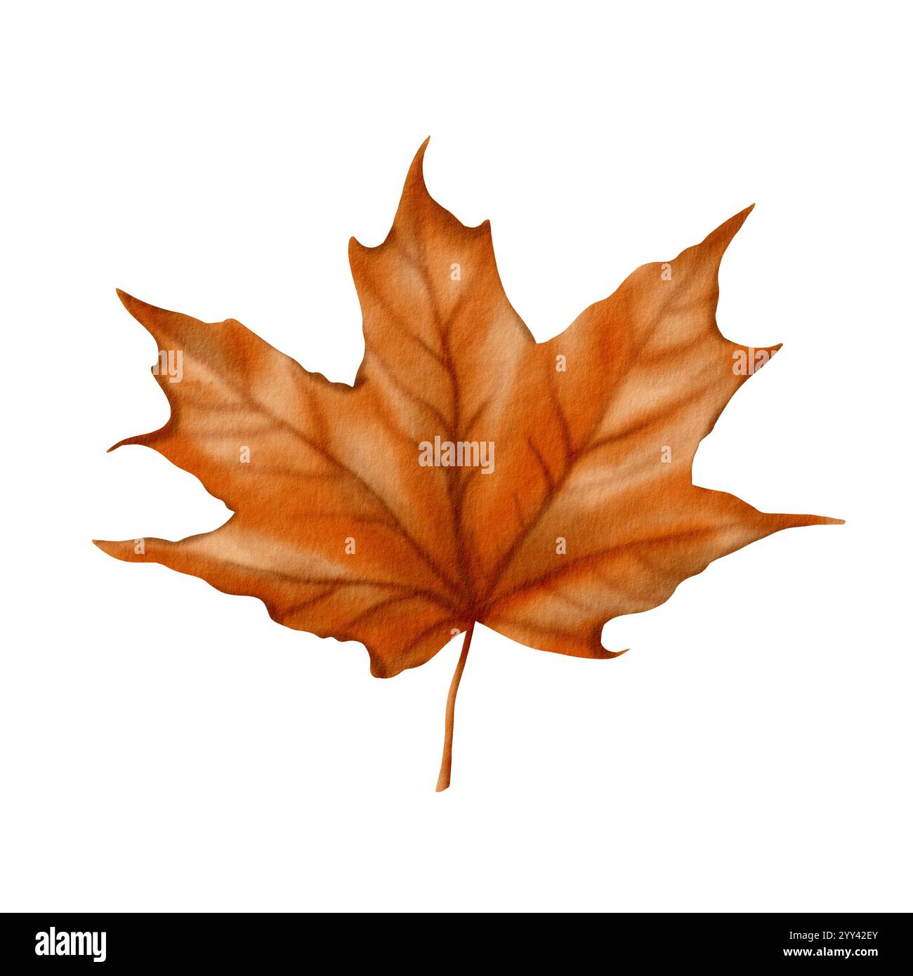 Orange vintage maple leaf as a symbol of fall, harvest festival ...