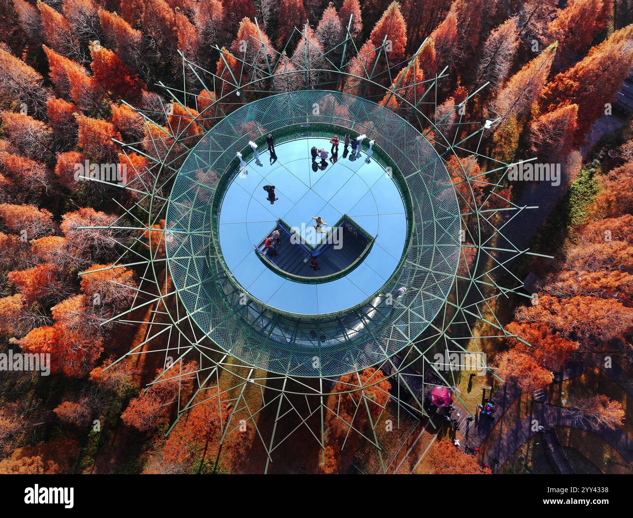 Winter scenery at Huanghai Forest Park in Yancheng City, east China's ...