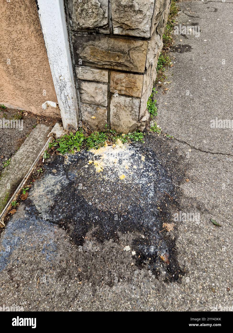 Puddle of vomit, Lyon, France Stock Photo - Alamy