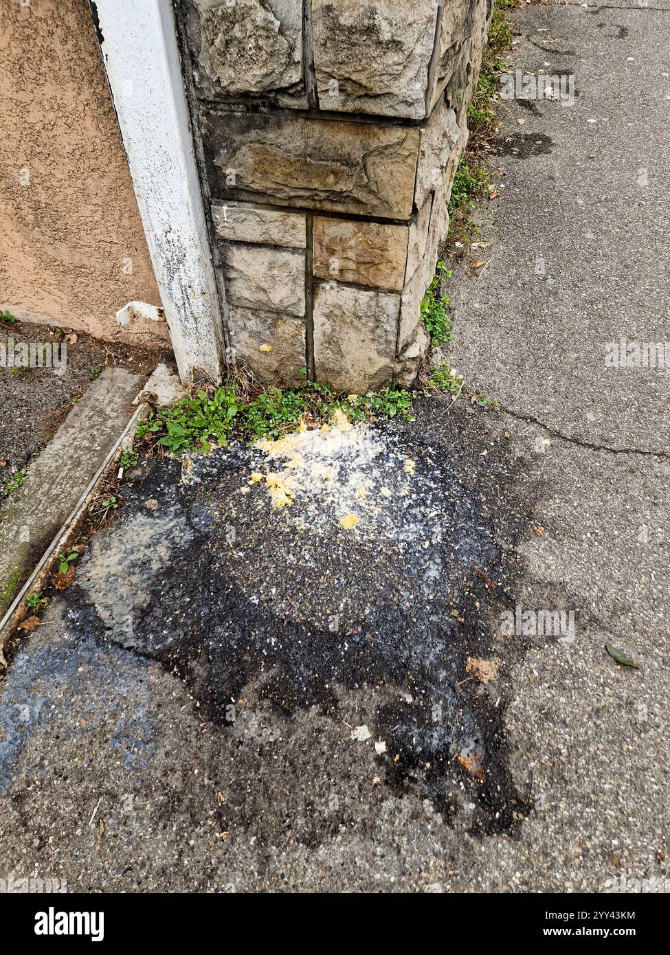 Vomit puddle hi-res stock photography and images - Alamy