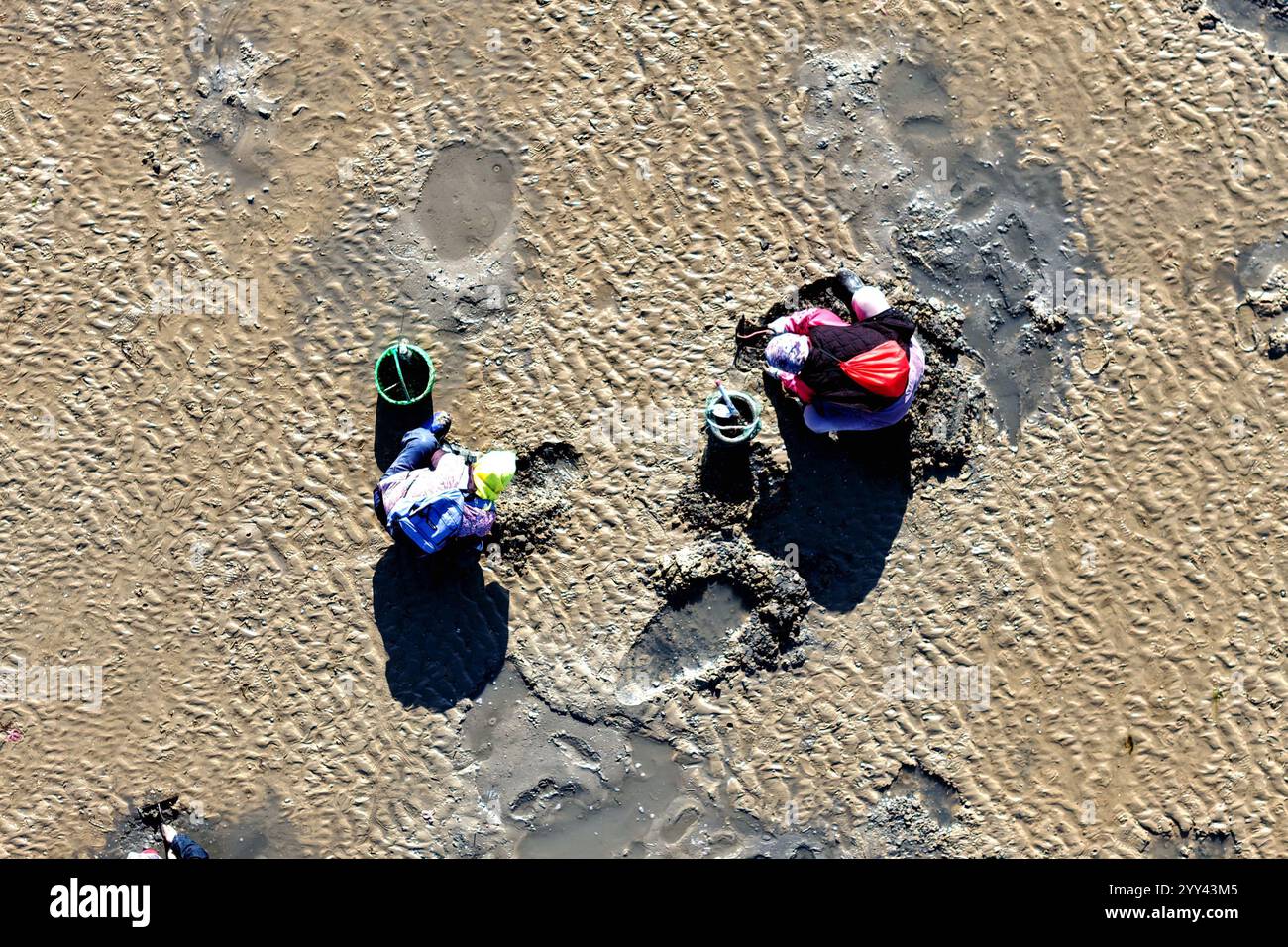 People go beachcombing at seaside in Qingdao City, east China's ...