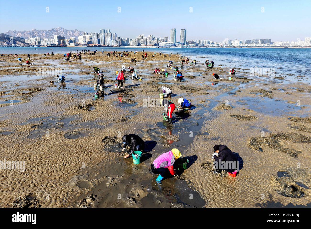 People go beachcombing at seaside in Qingdao City, east China's ...