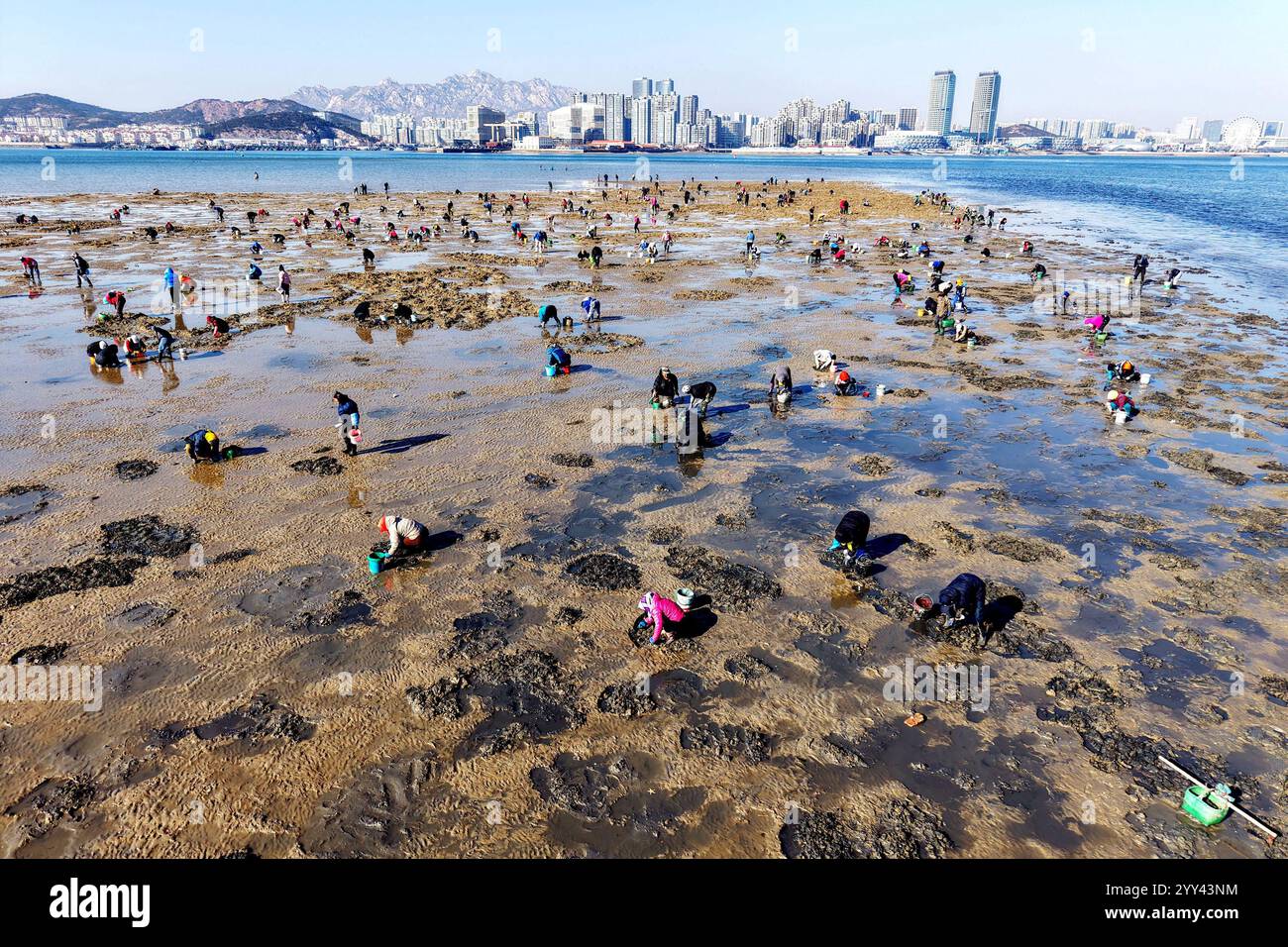 People go beachcombing at seaside in Qingdao City, east China's ...