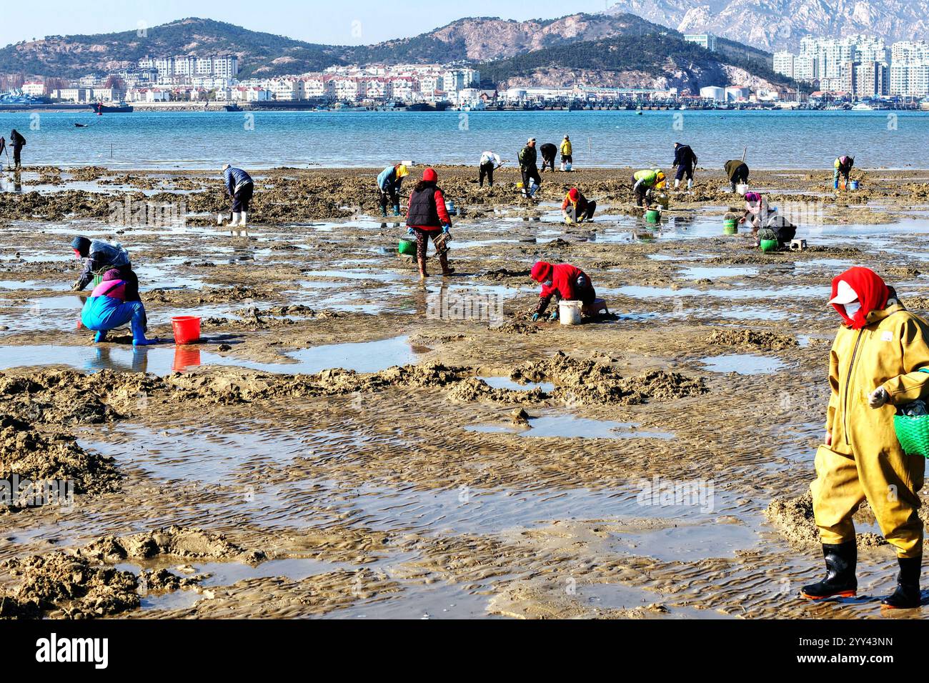 People go beachcombing at seaside in Qingdao City, east China's ...