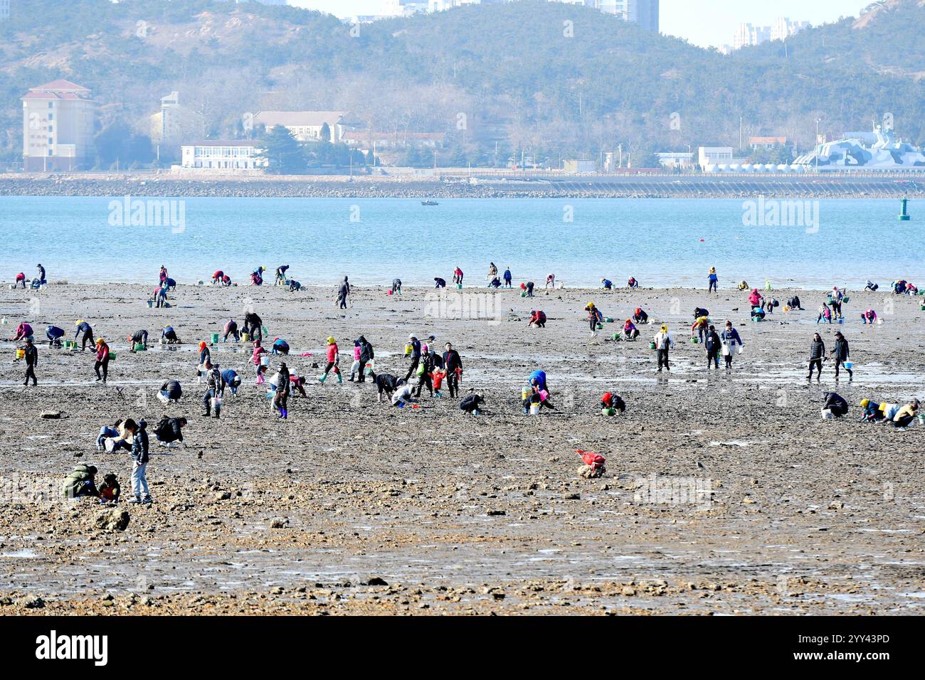 People go beachcombing at seaside in Qingdao City, east China's ...
