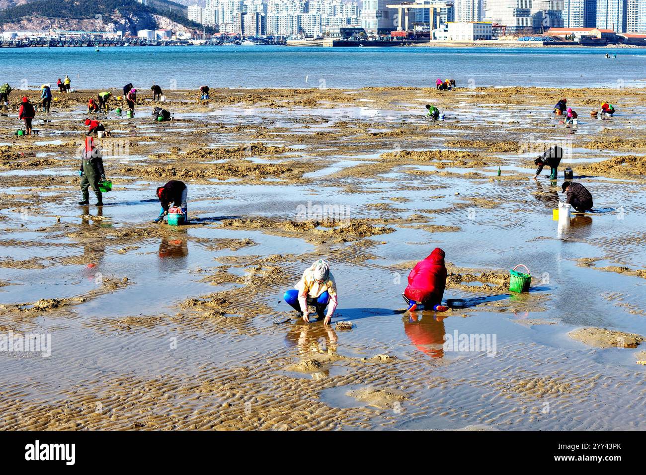 People go beachcombing at seaside in Qingdao City, east China's ...