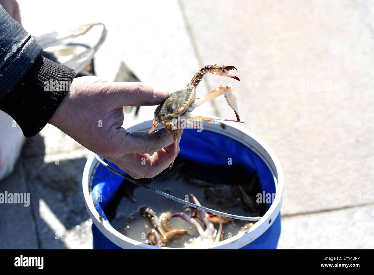 People go beachcombing at seaside in Qingdao City, east China's ...