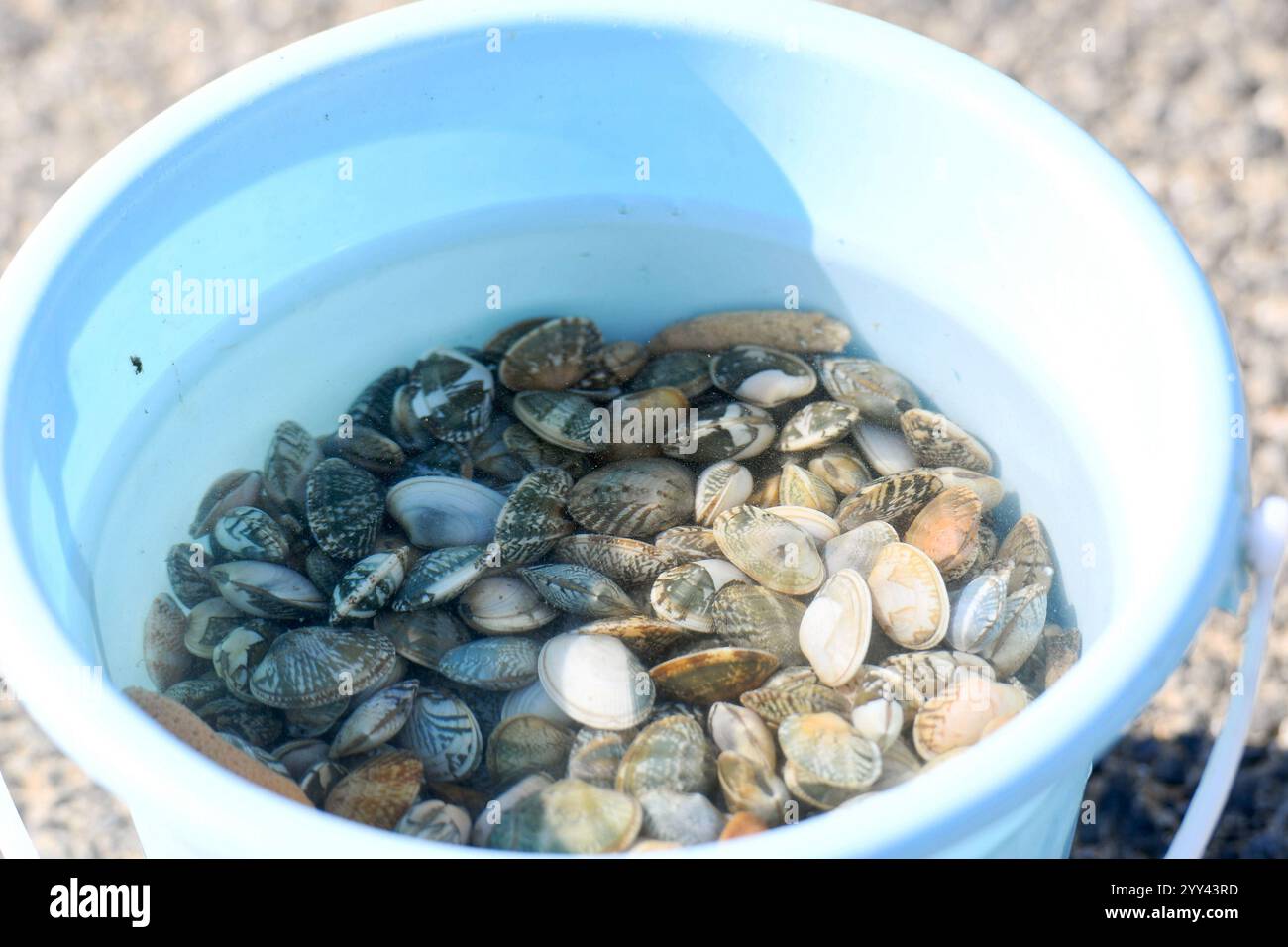 People go beachcombing at seaside in Qingdao City, east China's ...
