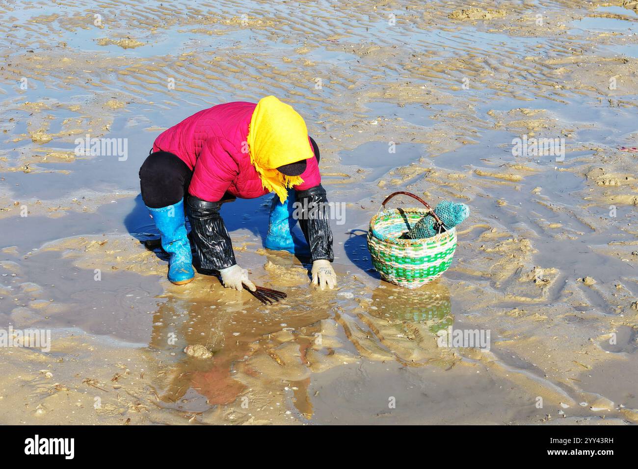 People go beachcombing at seaside in Qingdao City, east China's ...